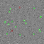 CellDrop Viability Assays | Fluorescence Assays | Cell Counting