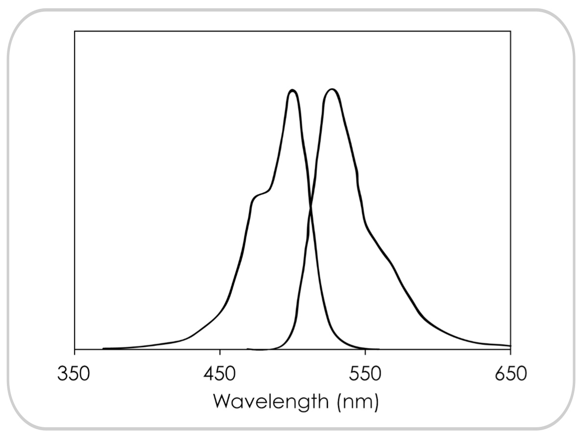 dsDNA High Sensitivity Assay Performance Data | TN 158