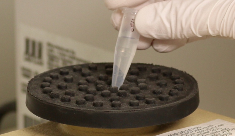 Improve Cell Counting Accuracy | Technical Note 191