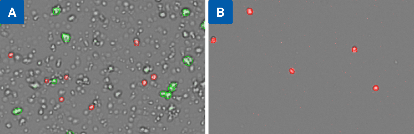 Counting Isolated Nuclei