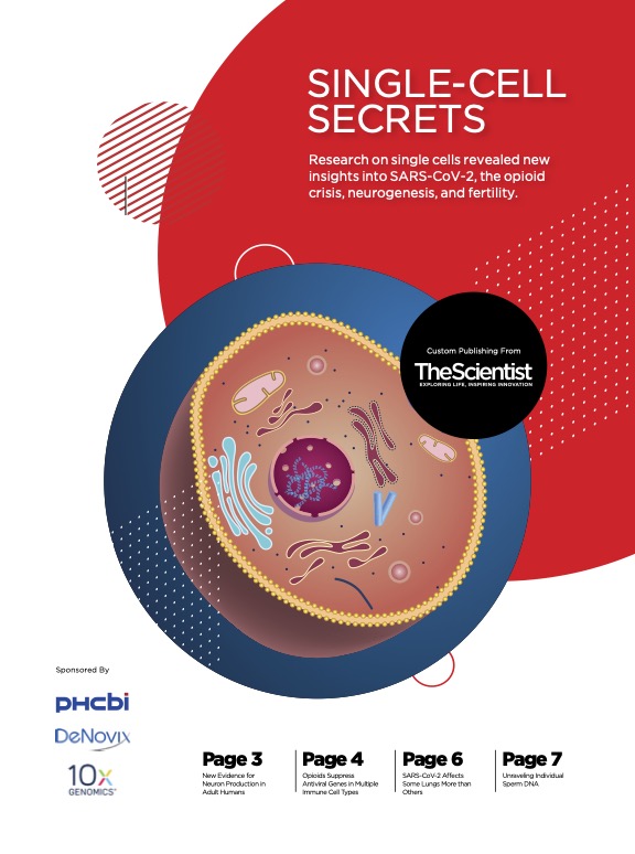 Single-Cell Secrets - DeNovix