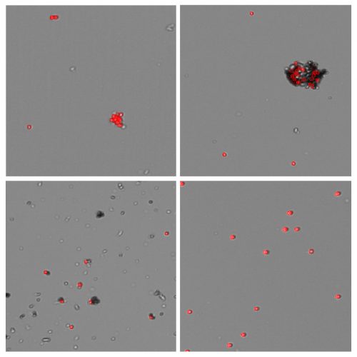 Counting Algae Cells | Technical Note 222